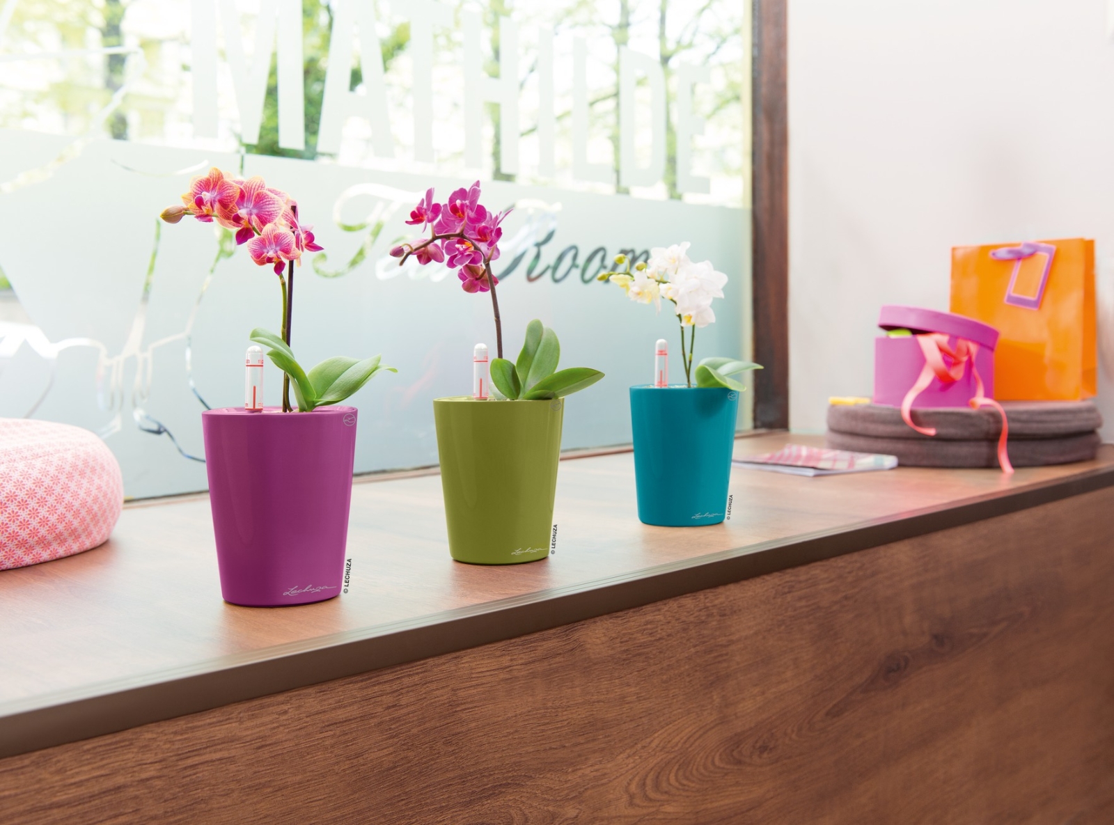 LECHUZA MINI DELTINI (ALL-IN-ONE SET)